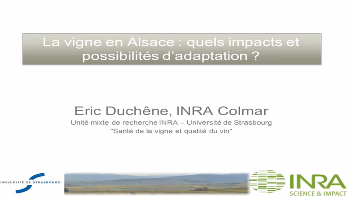 Accueil - La vigne en Alsace: quels impacts et possibilités d'adaptation?